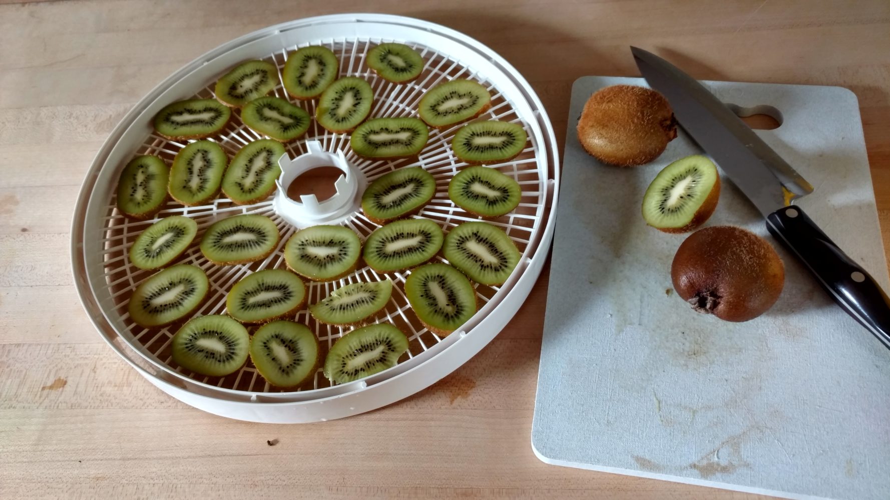 Drying Fruit- Quick, Healthy Snacks - Ourjourneytogreener